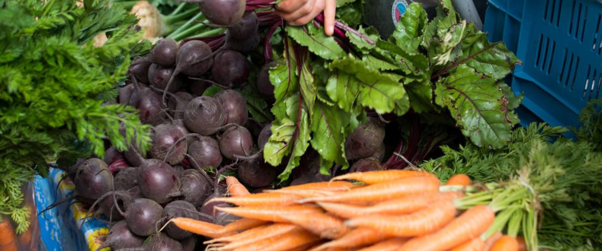 The Benefits of Farm-to-Table Principles